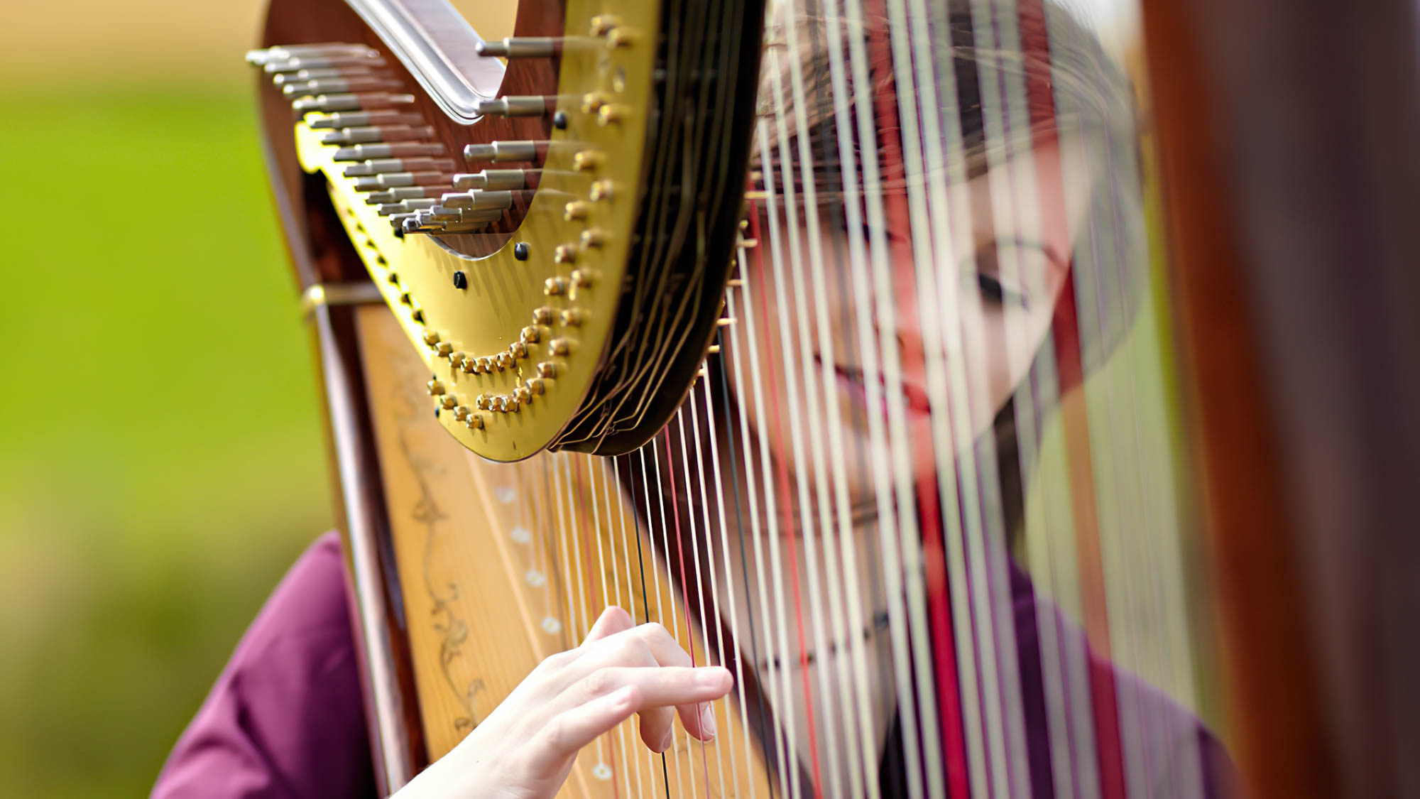 Scottish Harpist - Harpist for Wedding and Event Hire - DG Music