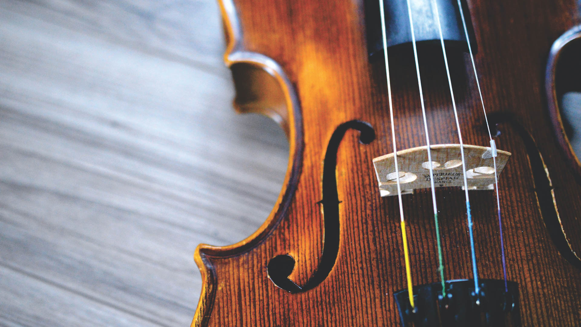 Belvoir String Quartet - Classical String Quartet for Hire - DG Music